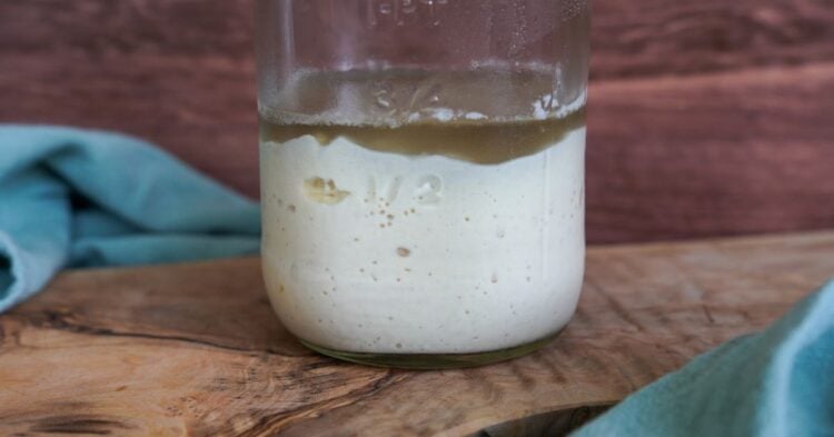 The Ultimate Guide to Sourdough Starter Feeding Ratios - That Sourdough Gal