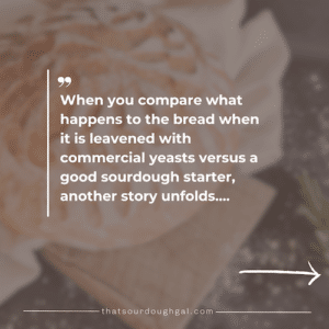 55 Best Sourdough Bread Quotes – Funny and Inspiring - That Sourdough Gal