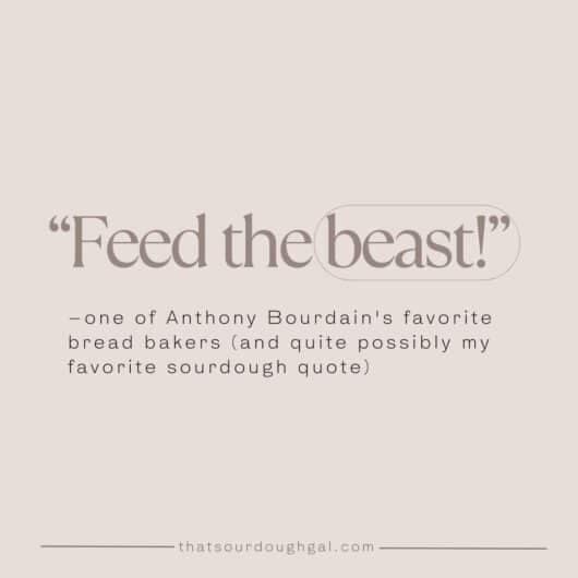 55 Best Sourdough Bread Quotes – Funny and Inspiring - That Sourdough Gal