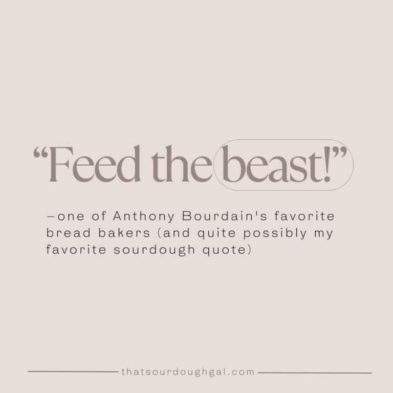 55 Best Sourdough Bread Quotes – Funny and Inspiring - That Sourdough Gal