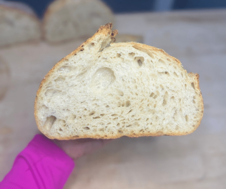I Let My Sourdough Starter Mold: Here’s What Happened - That Sourdough Gal