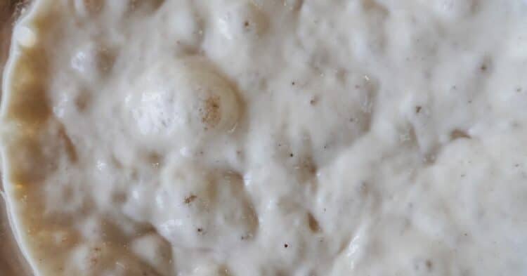 The Truth About Probiotics In Sourdough Bread - That Sourdough Gal