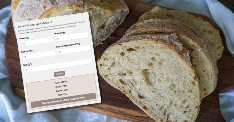12 Simple Sourdough Scoring Designs for Batards (Oblong Loaves) - That ...
