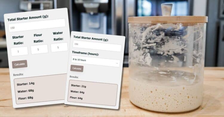 Sourdough Baker's Percentage & Hydration Level Calculator - That ...