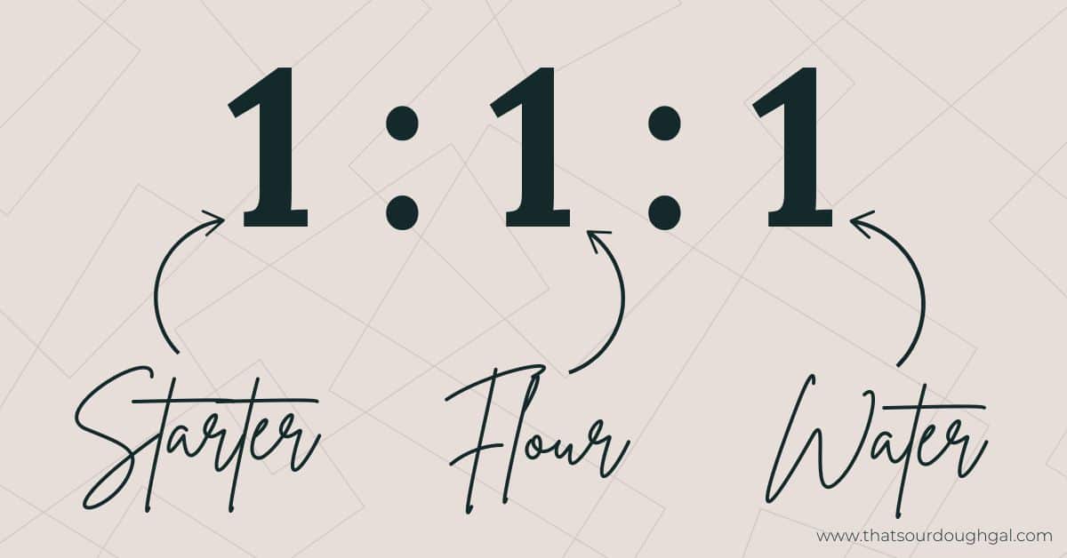 The Ultimate Guide to Sourdough Starter Feeding Ratios - That Sourdough Gal