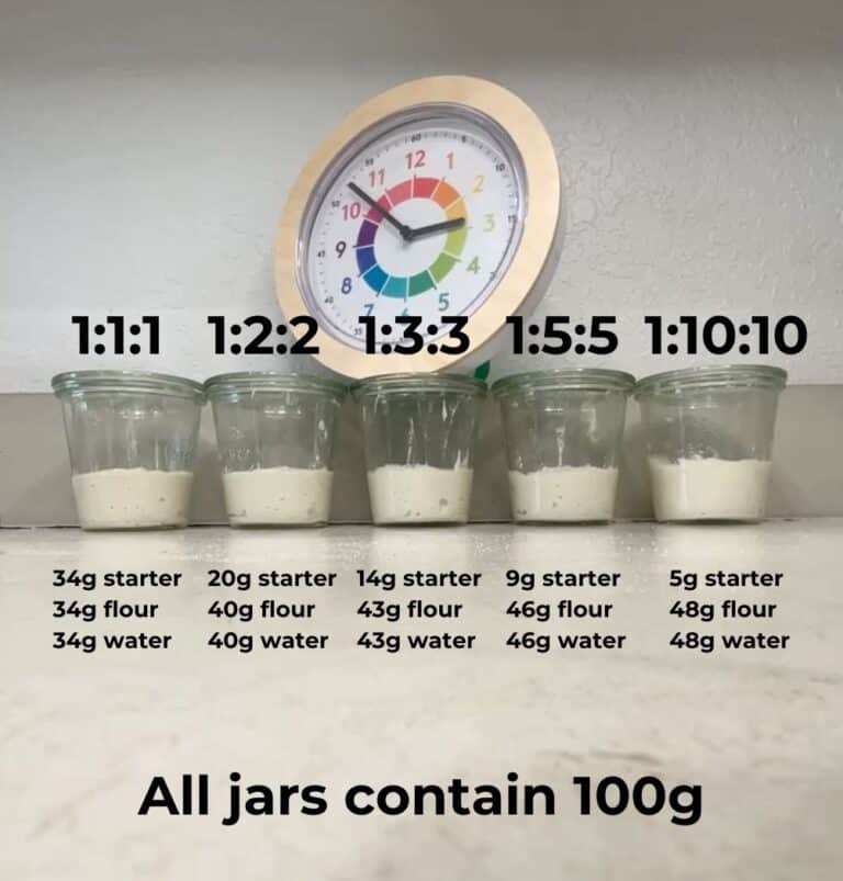 The Ultimate Guide to Sourdough Starter Feeding Ratios - That Sourdough Gal