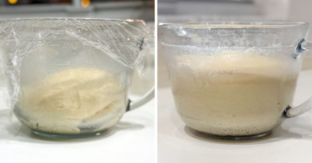 The Ultimate Guide to Getting Started With Sourdough - That Sourdough Gal
