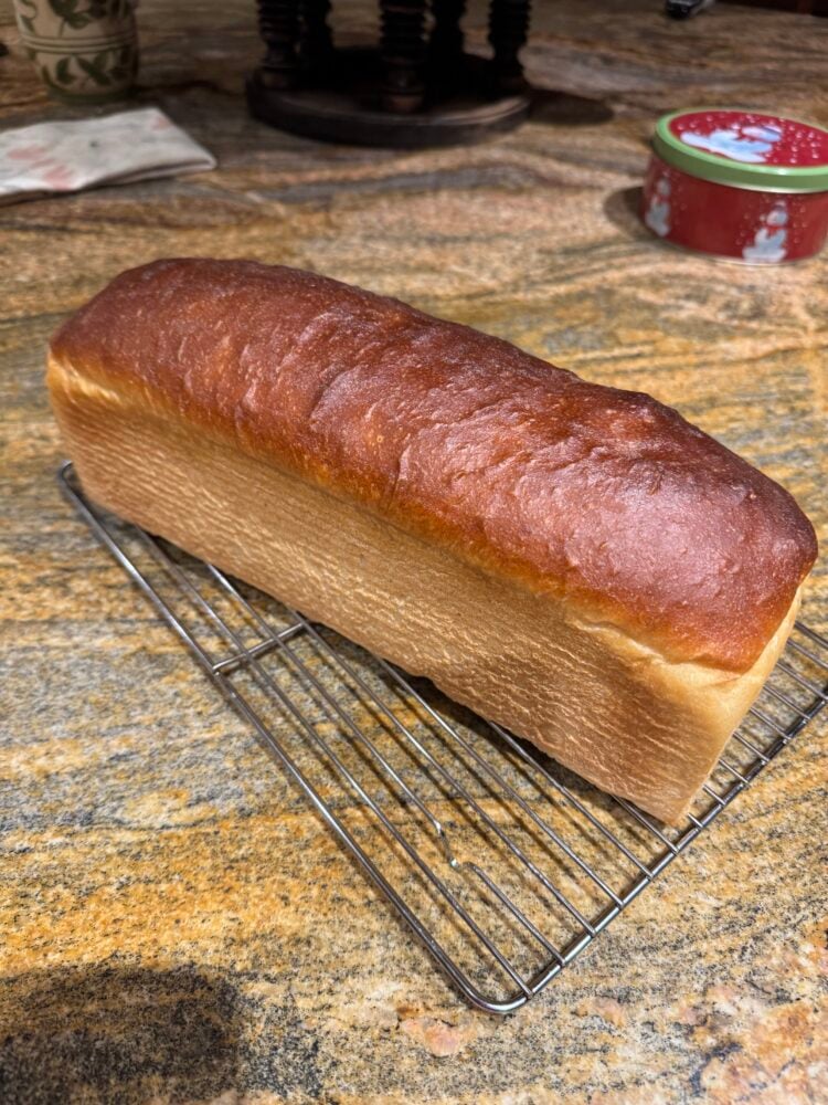 Sourdough Wonder Bread Copycat Recipe - So Soft! - That Sourdough Gal