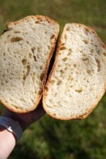 The Best Foolproof White Sourdough Bread Recipe - That Sourdough Gal