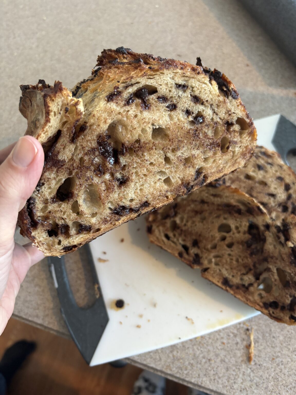 The Best Chocolate Chip Sourdough Bread Recipe - That Sourdough Gal