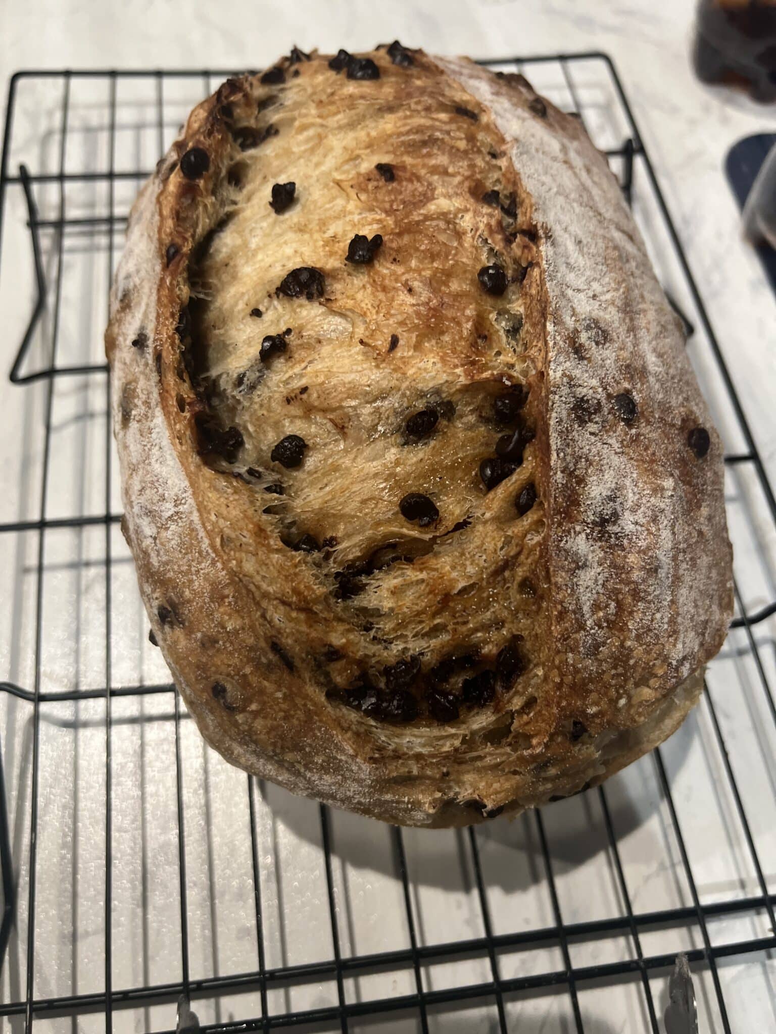 The Best Chocolate Chip Sourdough Bread Recipe - That Sourdough Gal