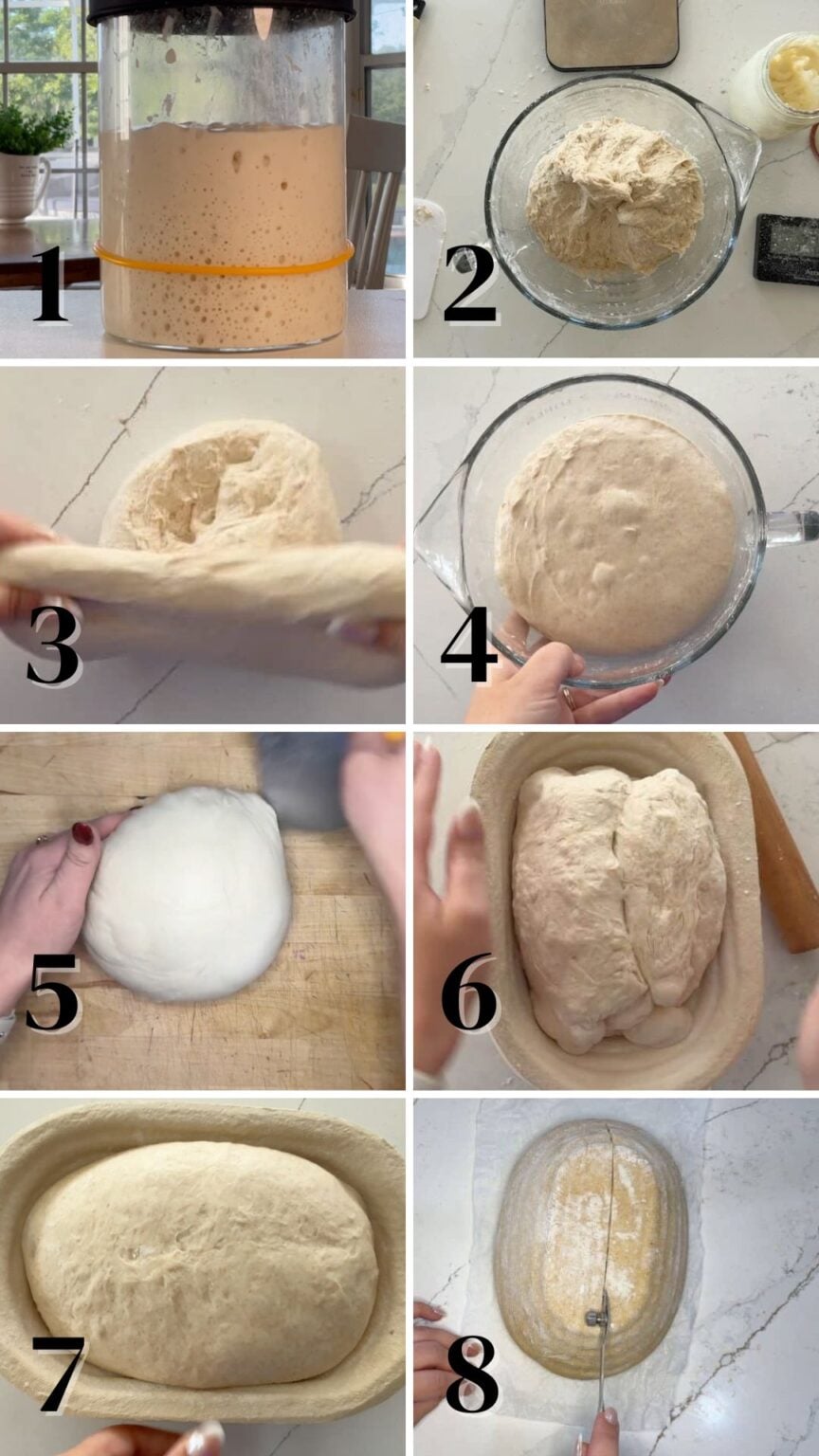 The Ultimate Guide to Getting Started With Sourdough - That Sourdough Gal