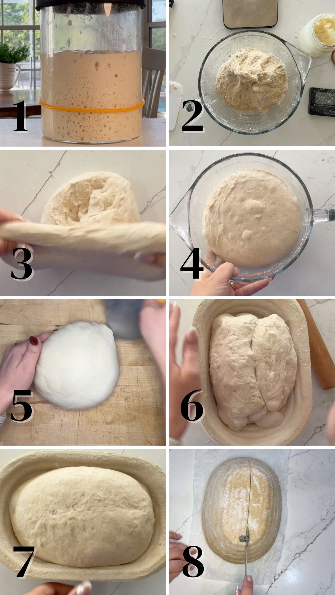The Ultimate Guide to Getting Started With Sourdough - That Sourdough Gal